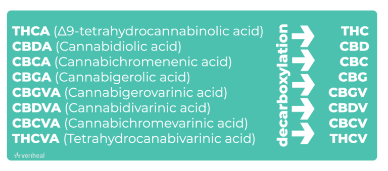 What is THCA and Why Can It Be Dangerous?Cannabis Central