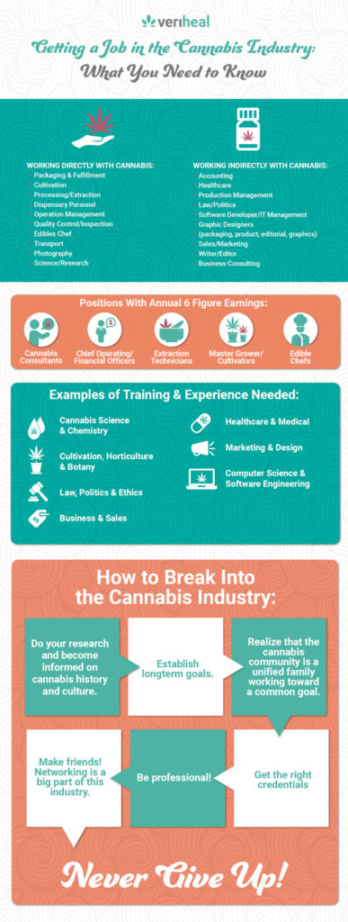 Getting a Job in the Cannabis Industry: What You Need to Know