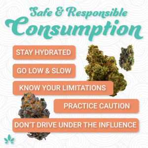 5 Safety Tips to Use Cannabis Safely and ResponsiblyCannabis Central