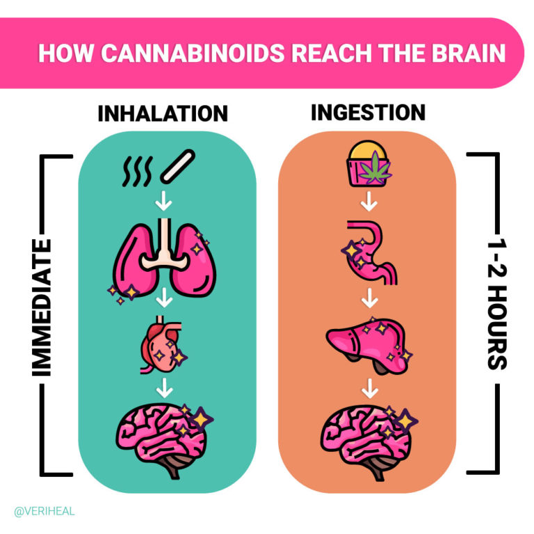 Cannabinoid Absorption: Inhalation vs. IngestionCannabis Central