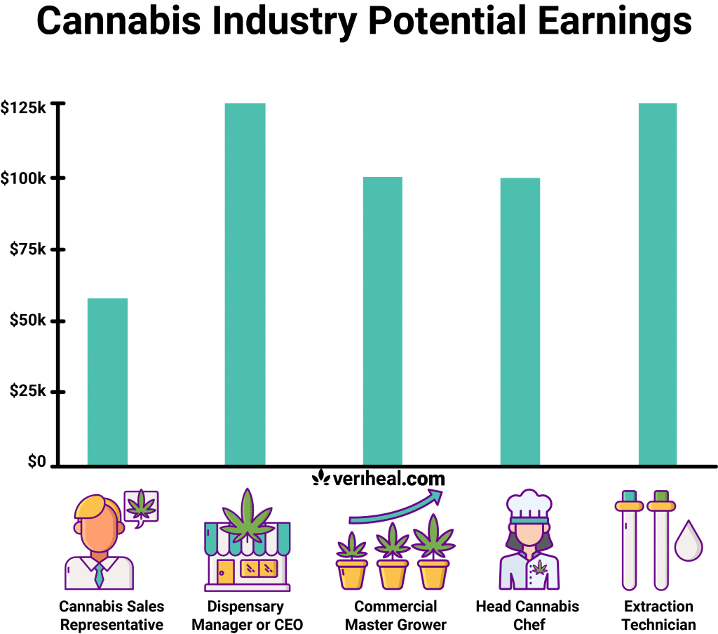 Top High-Paying Careers in the Cannabis Industry