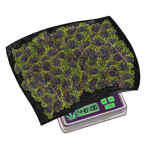 A Complete Guide to Cannabis Measurements and Weights