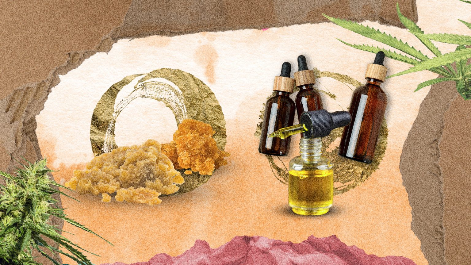 8 Great Ways to Use Cannabis Trim and Get Value From ItCannabis Central