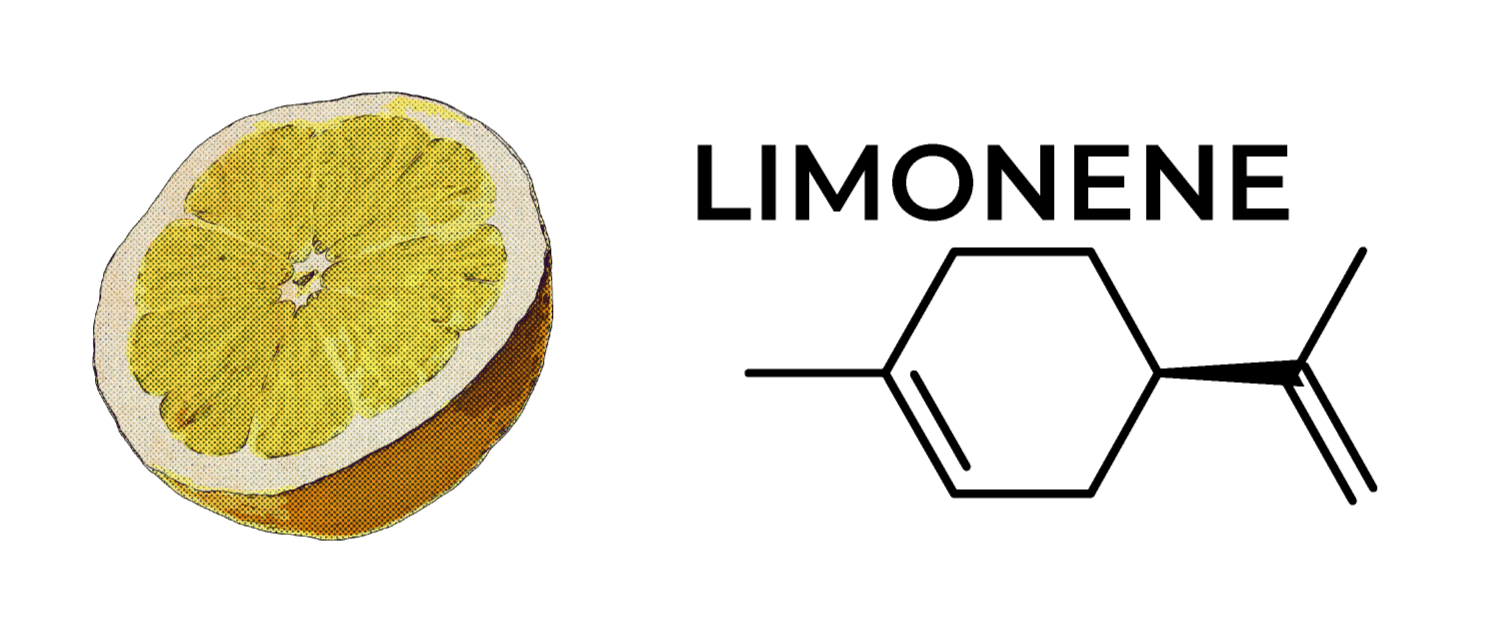 Best Terpenes for Pain & Inflammation Relief Guide