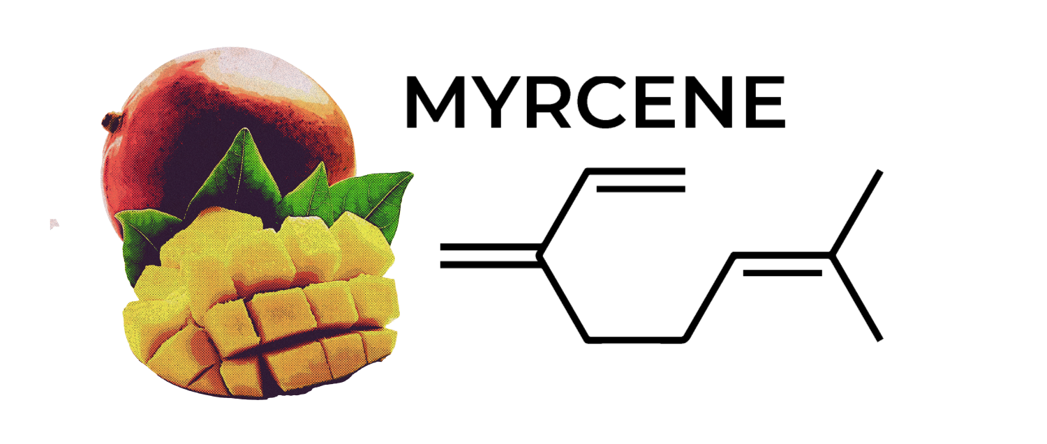 6 Best Terpenses for Pain Reduction and Inflammation ReliefCannabis Central