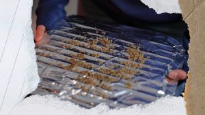 Decarboxylation Guide | How to Properly Decarb WeedCannabis Central