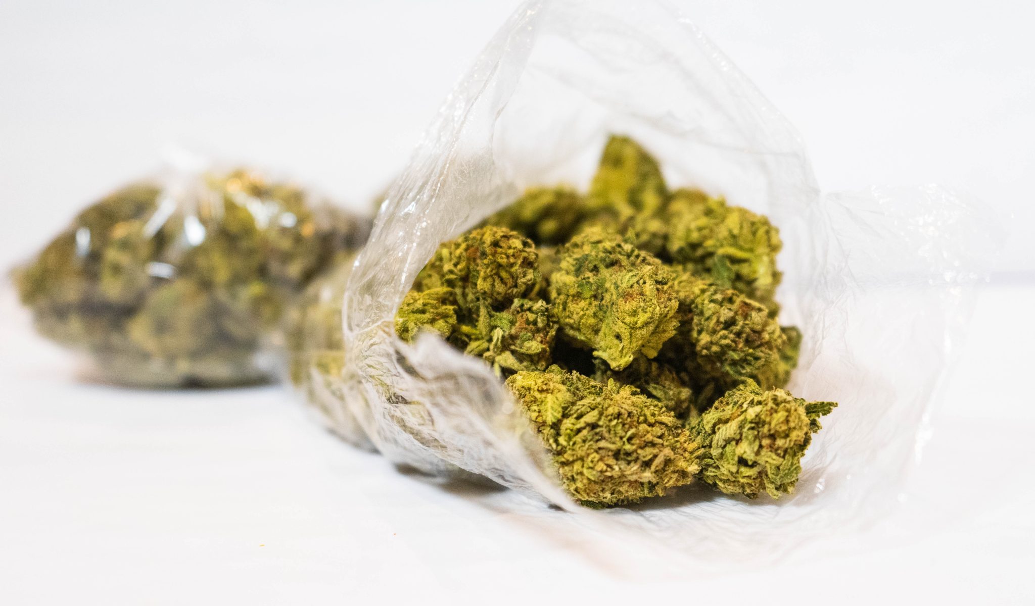 How to Properly Store Cannabis to Make It Last | VerihealCannabis Central