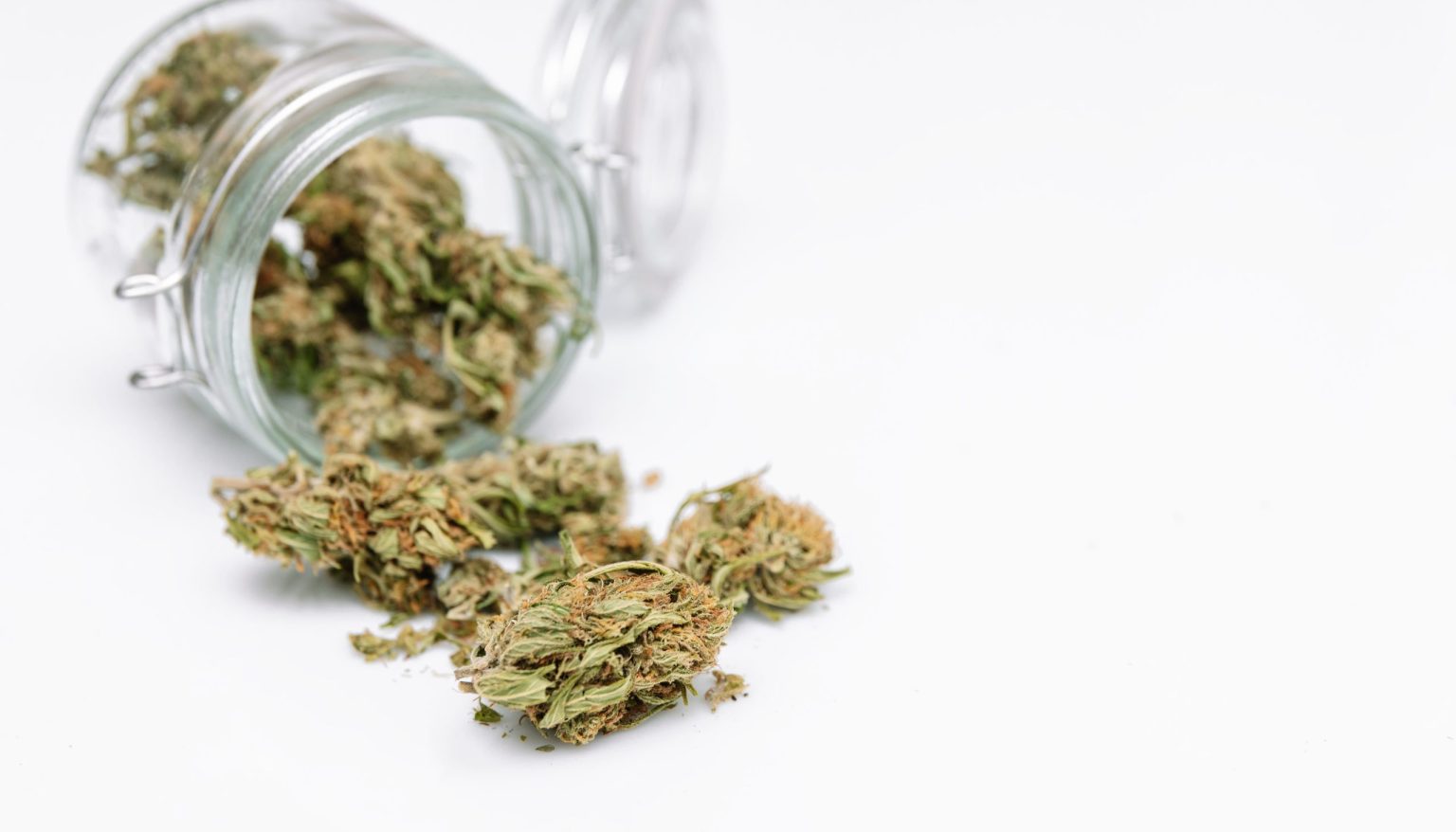 How to Properly Store Cannabis to Make It Last | VerihealCannabis Central