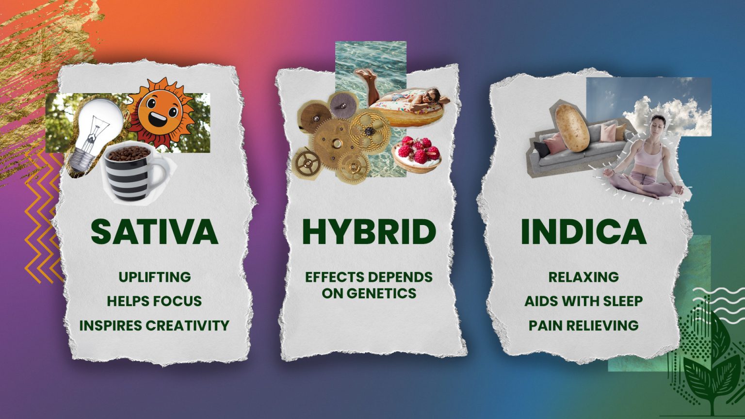Understanding Indica Vs Sativa Vs Hybrid Cannabis Strainscannabis Central