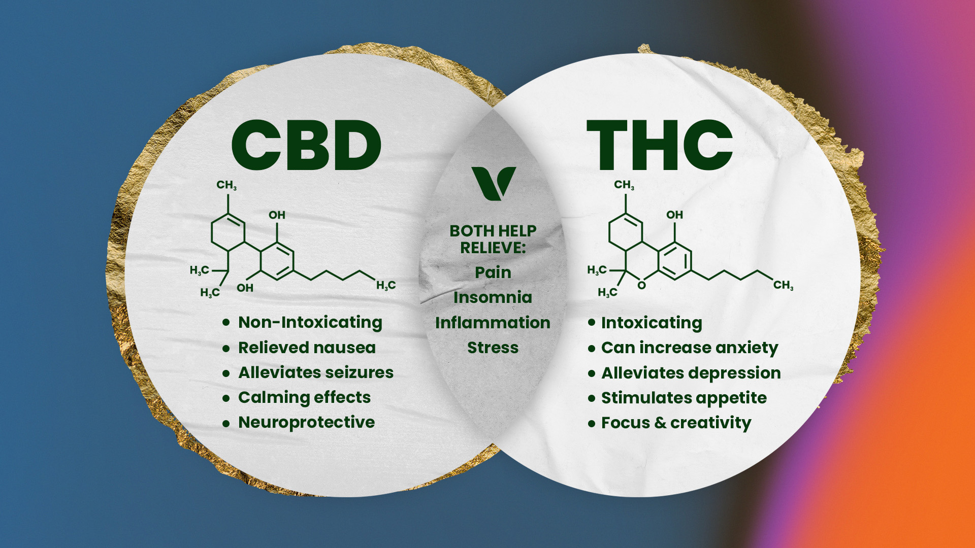 Understanding Indica vs. Sativa vs. Hybrid Cannabis StrainsCannabis Central