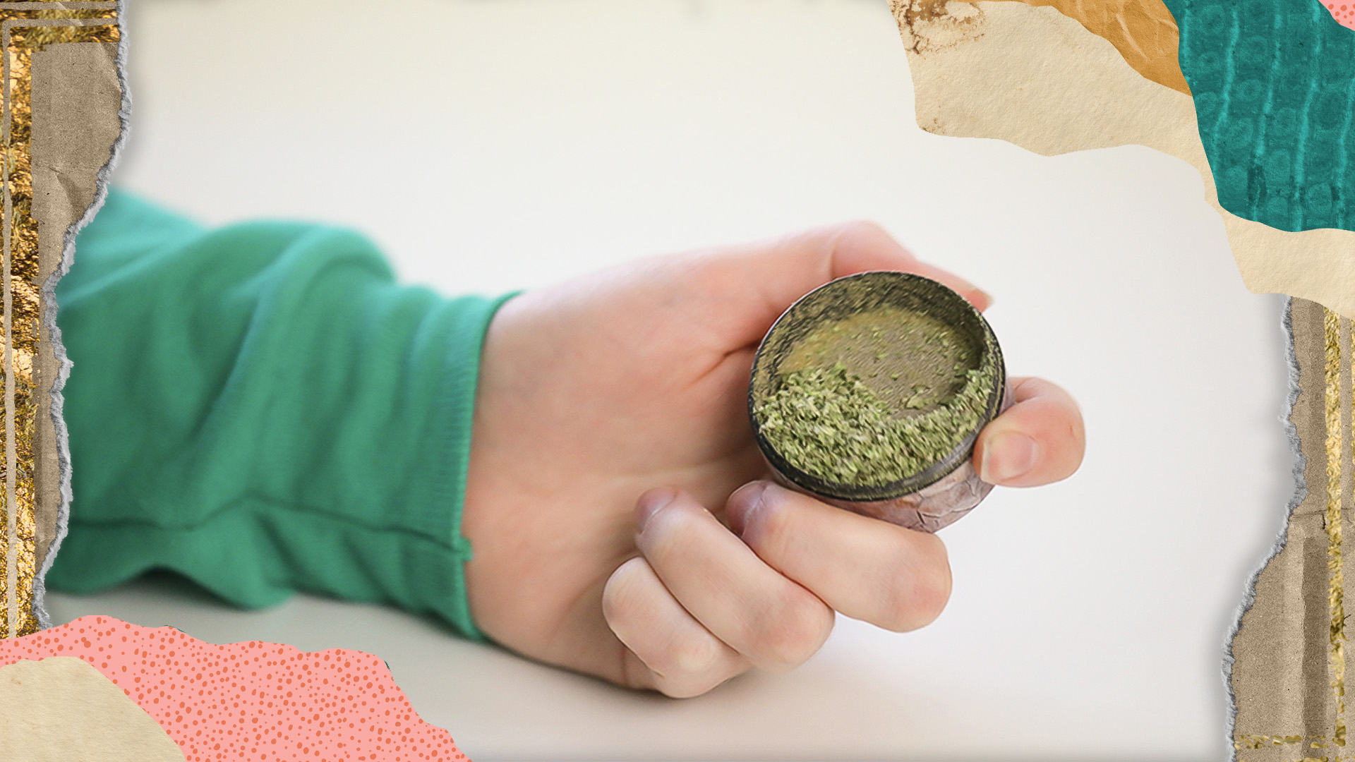 How to Roll a Joint: Step-by-Step Guide (With Pictures)Cannabis Central