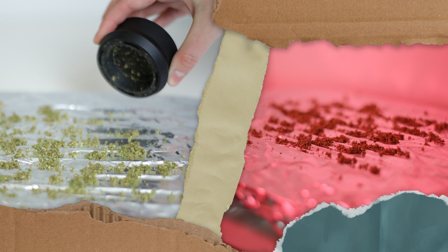 How to Make Weed Tea: Step-by-Step Guide (With Pictures!)Cannabis Central