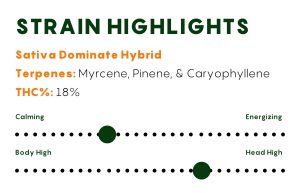 A Complete Guide to Blue Dream Strain | Effects and InformationCannabis ...
