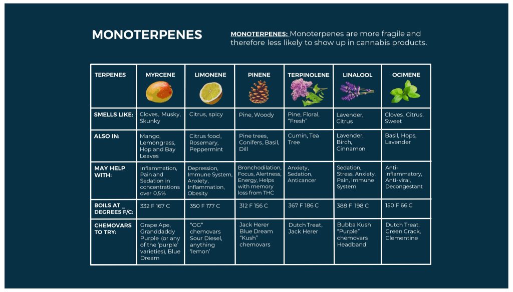 Understanding Cannabis Terpenes and Their EffectsCannabis Central