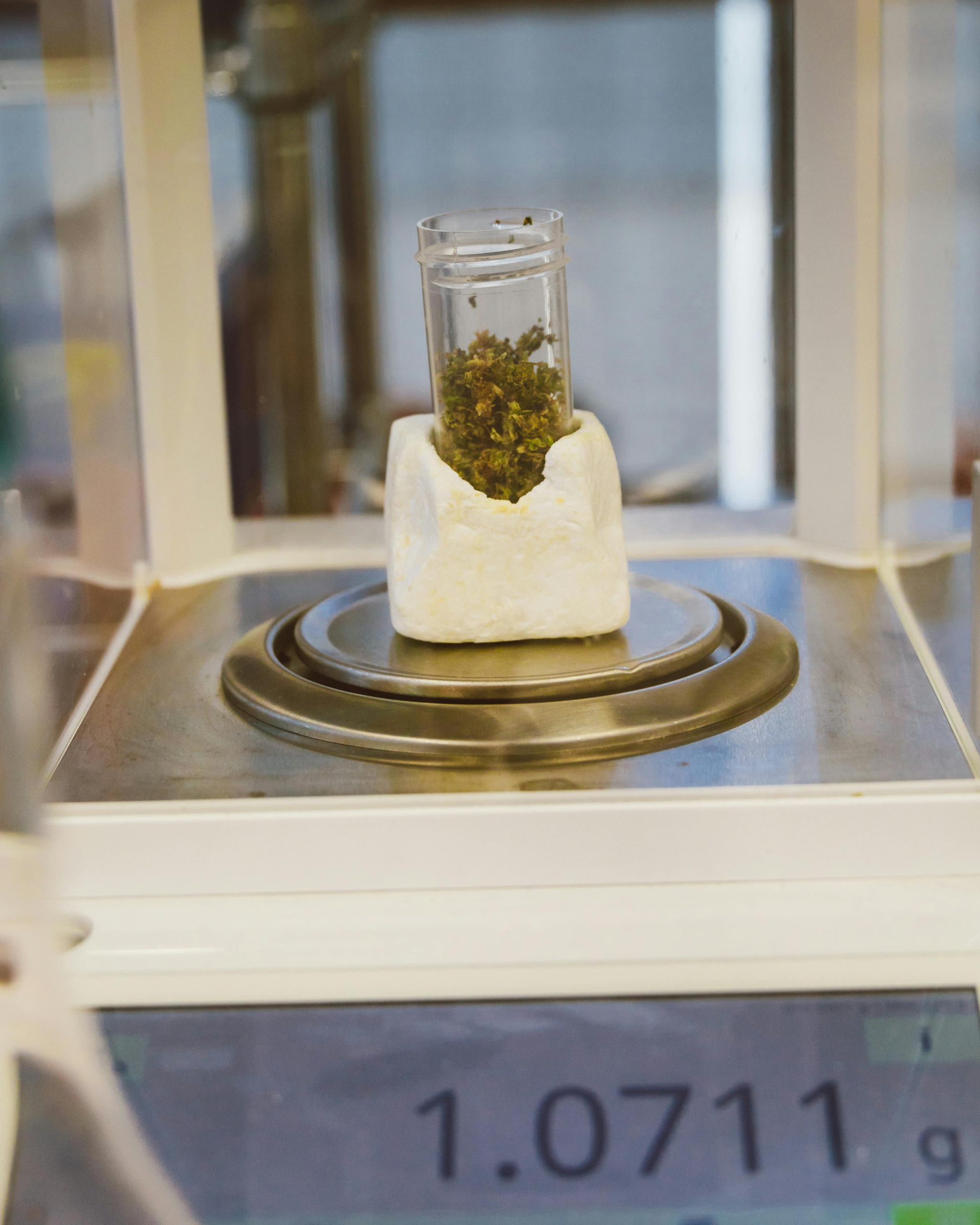 Visual Guide to Weed Weigh From Grams to OuncesCannabis Central