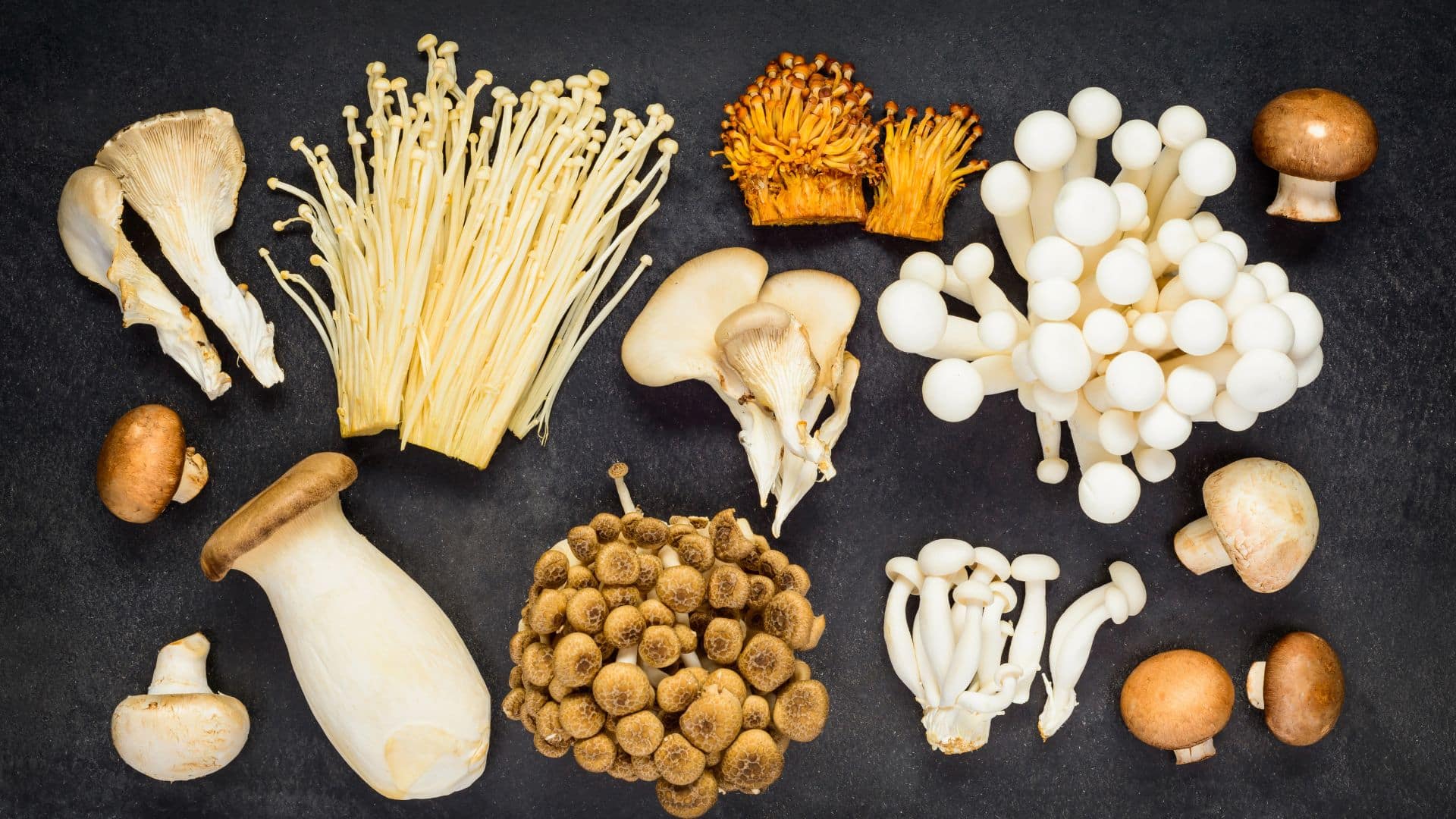Why Smoking Shrooms Doesn’t Work