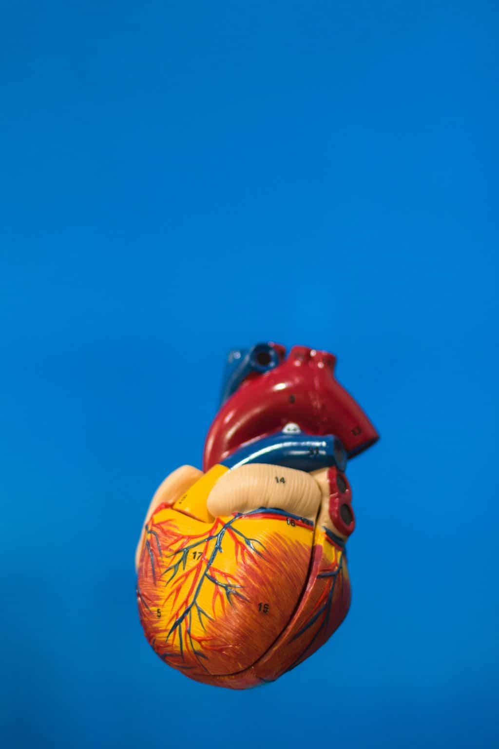 Is Cannabis Bad for Heart? Study Links Risks