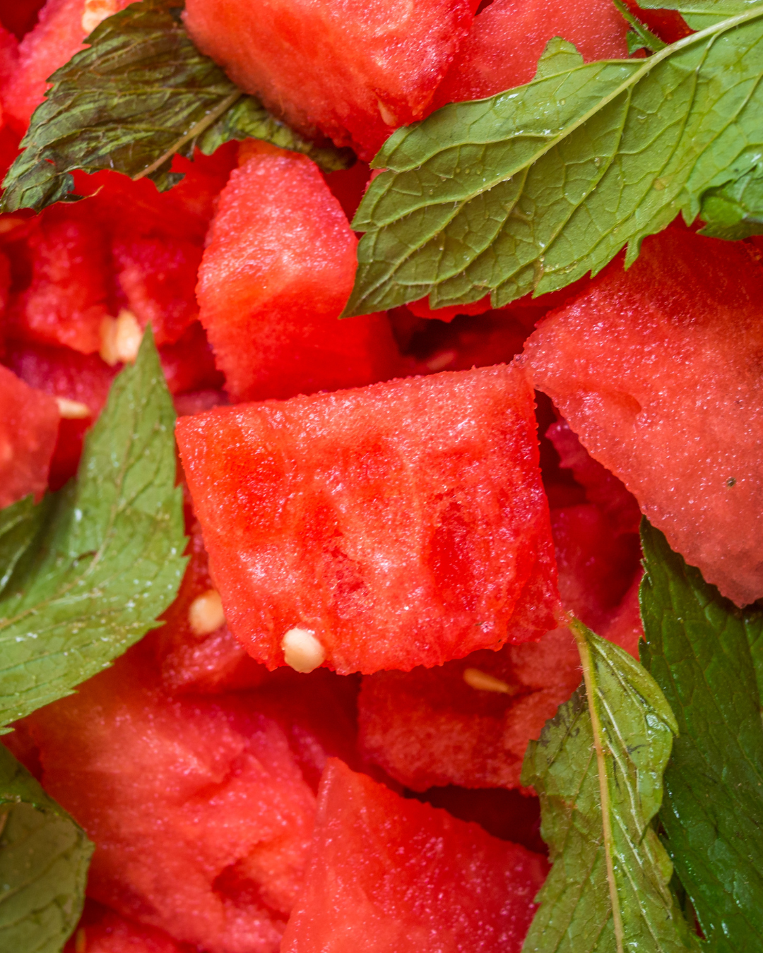 Cannabis-Infused Salad Recipes for a Chill Summer VibeCannabis Central