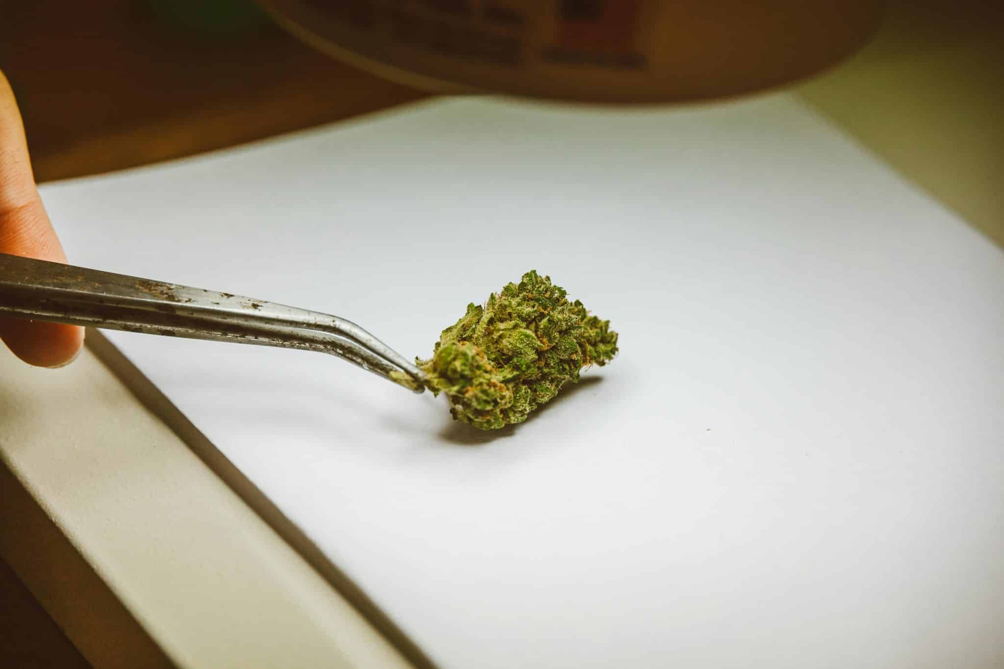 Can You See or Smell Your Medical Marijuana Before Buying?