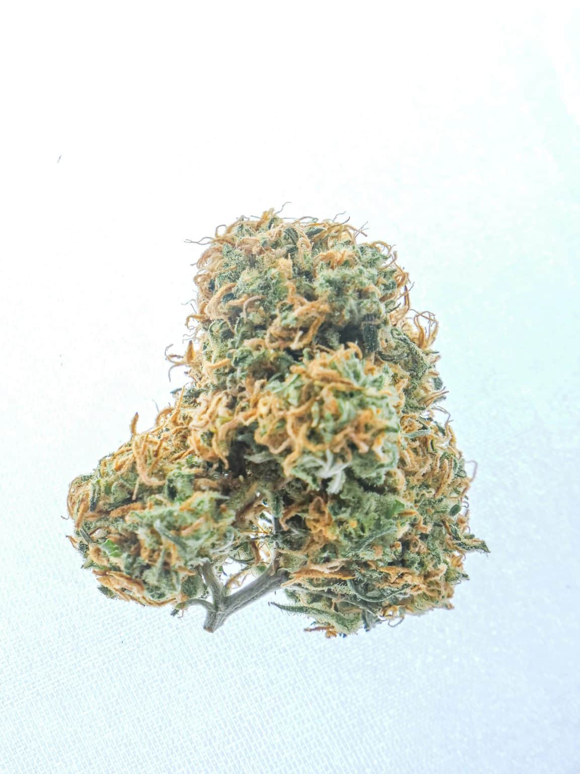 What Are Minor Cannabinoids? Benefits & UsesCannabis Central