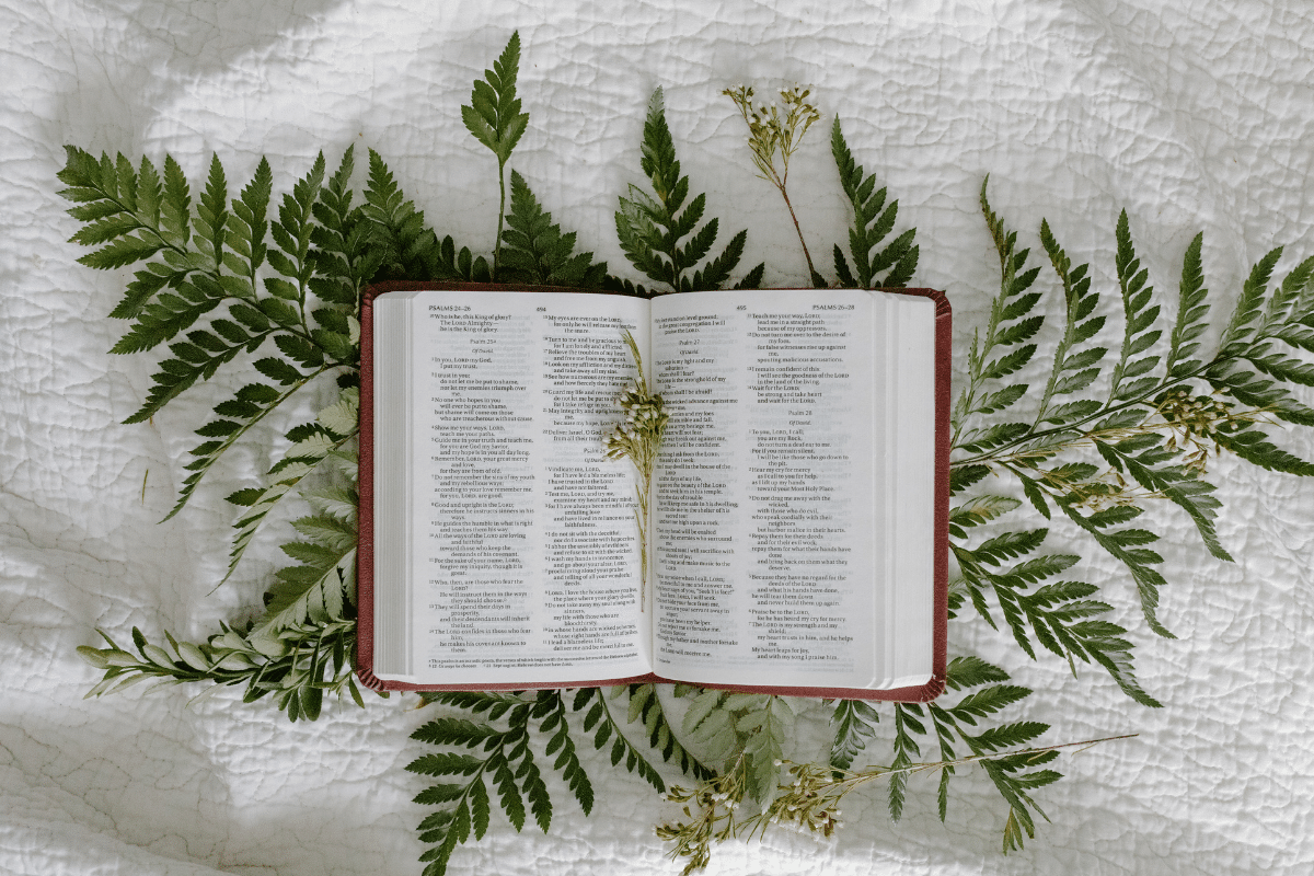 Is Cannabis Mentioned in the Bible?