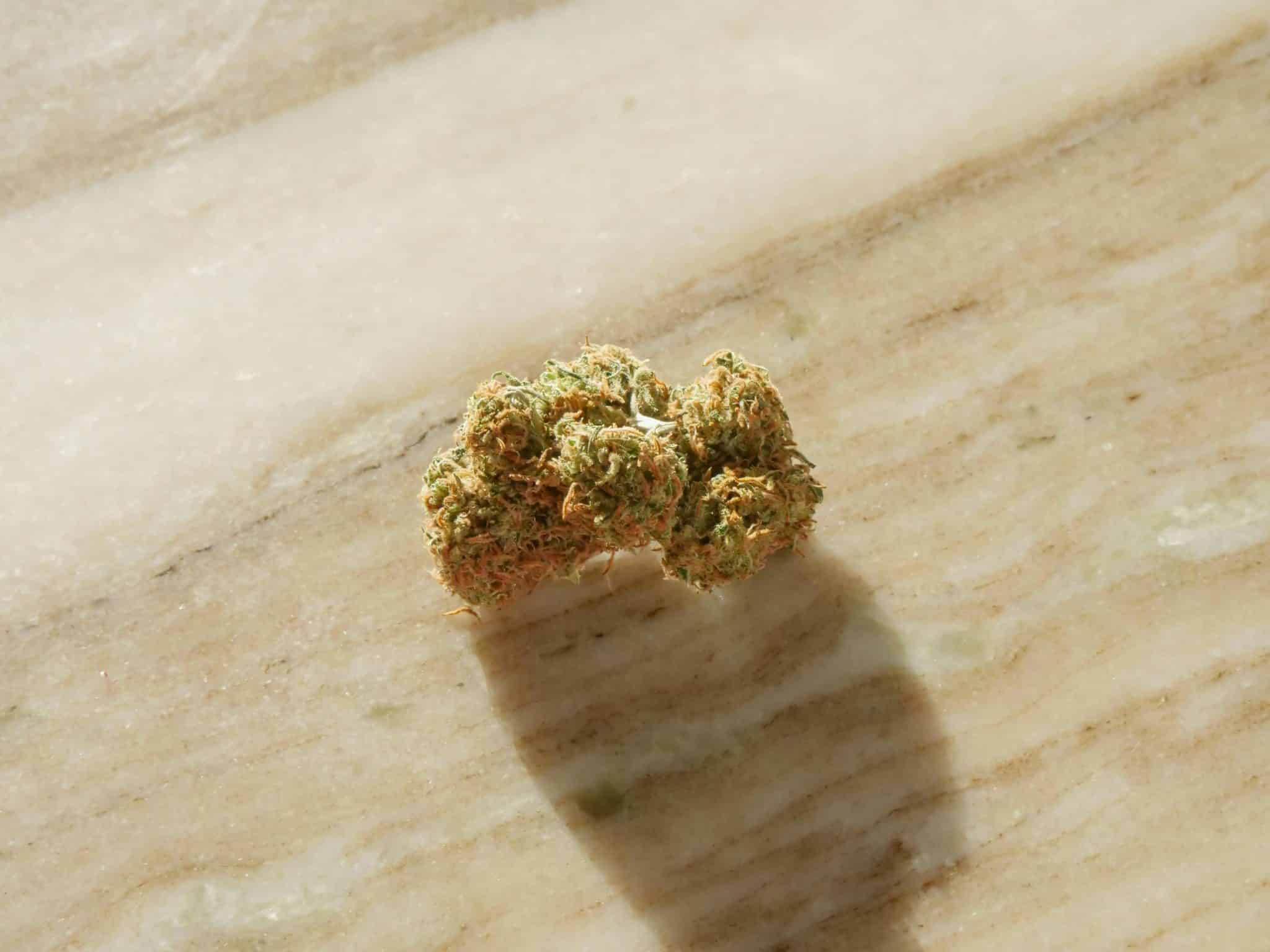 Renamed Cannabis Strains: Why Names Change