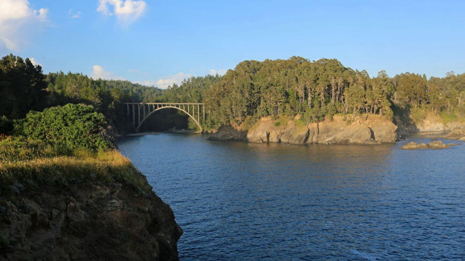 Emerald Triangle: Home of the World’s Best CannabisCannabis Central