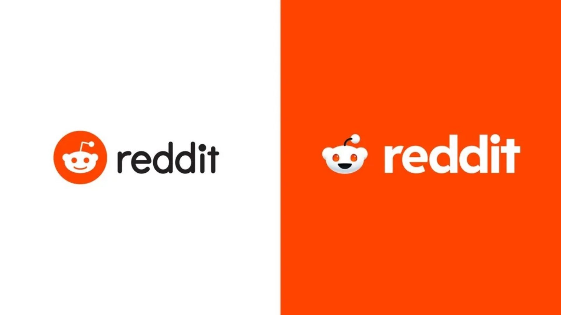 How Reddit Is Changing the Way We Research InformationCannabis Central