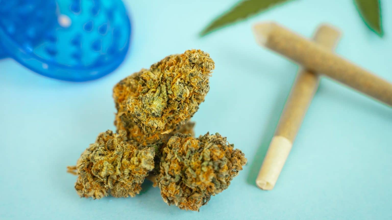 Modern Weed Slang You Should Know Beyond 420