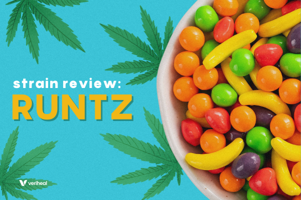 Content Hub - Veriheal